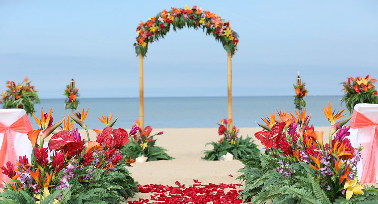 My Barefoot Wedding - Grand Haven Area